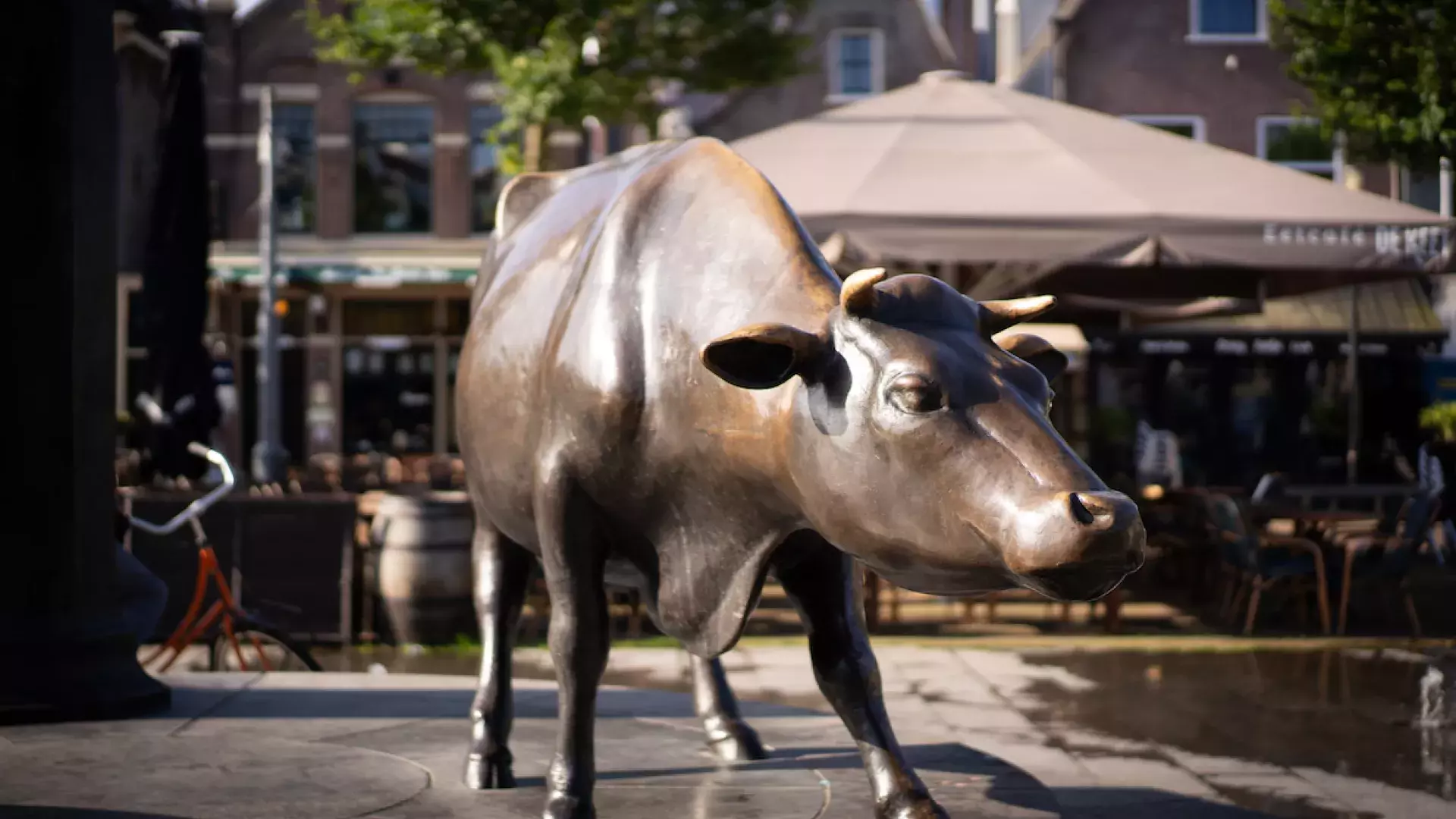 BIZ koemarkt | Binnenstad Purmerend